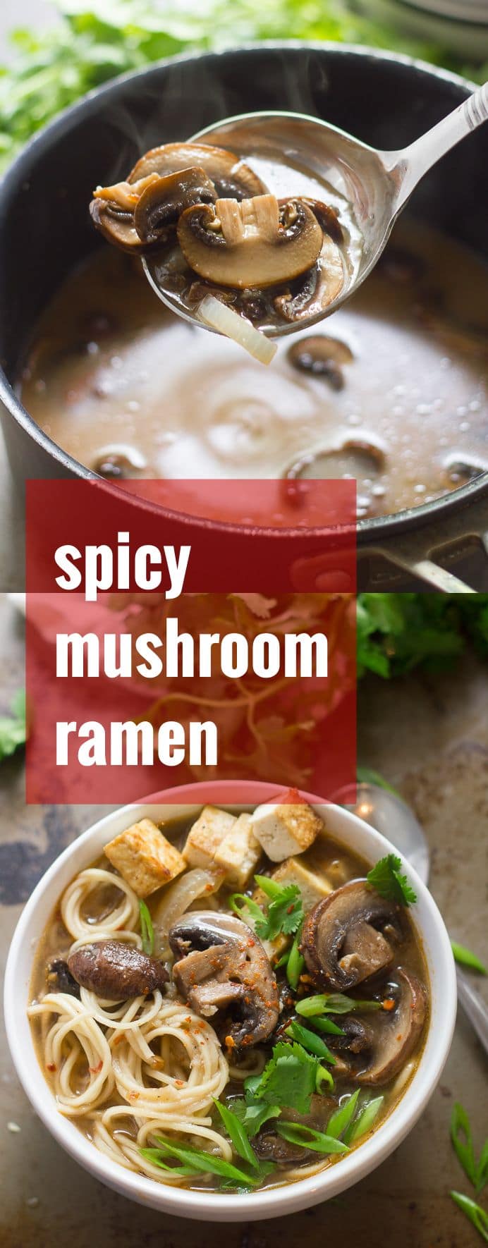 Spicy Mushroom Ramen - Connoisseurus Veg