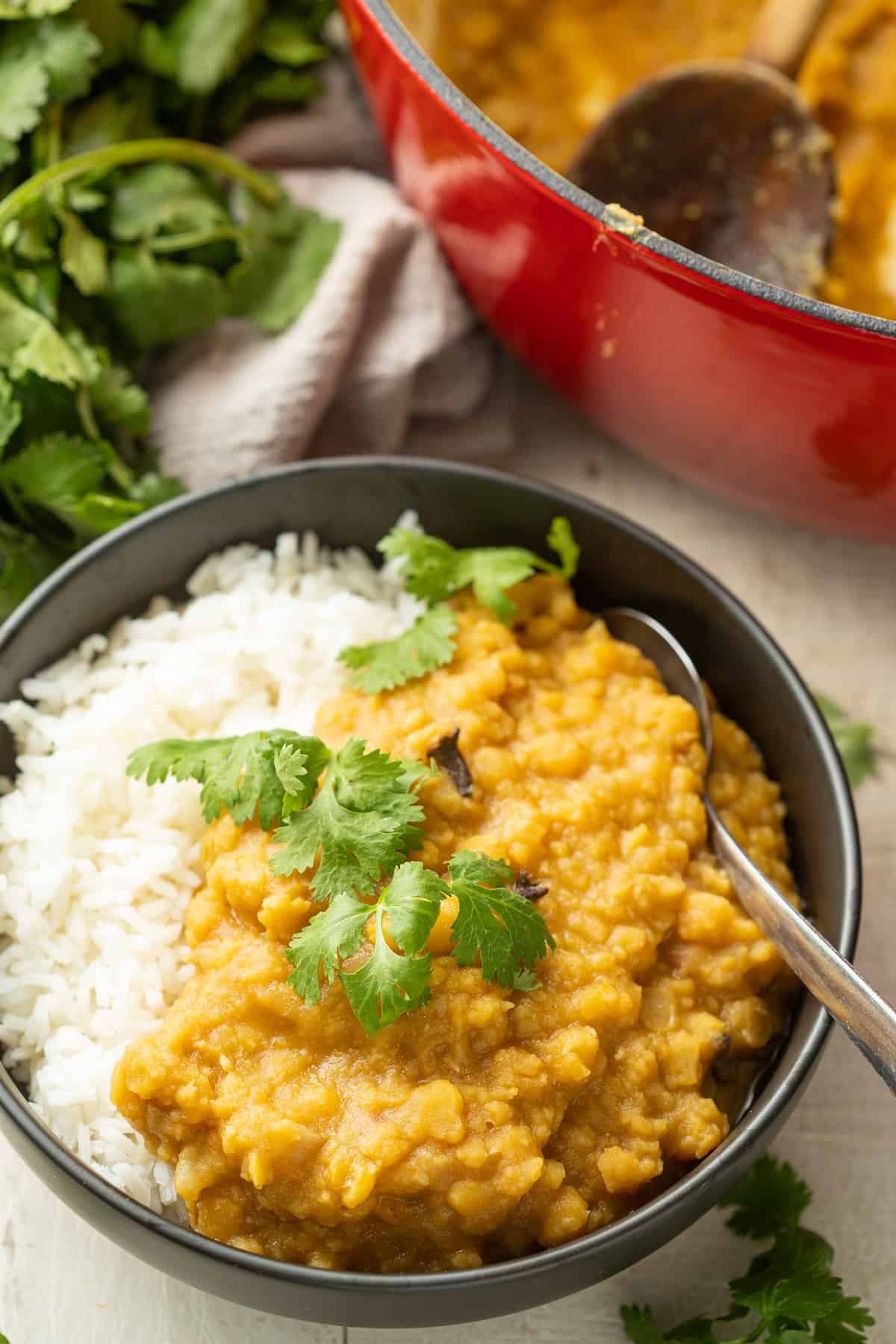 Yellow Split Pea Dal Connoisseurus Veg Yellow Split Pea Dal Connoisseurus Veg