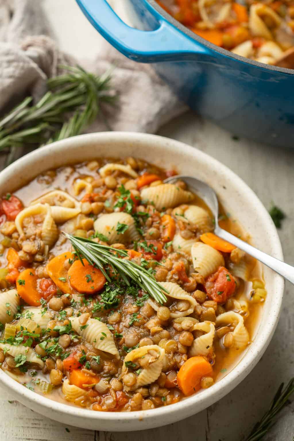 Italian Lentil Soup with Pasta - Connoisseurus Veg